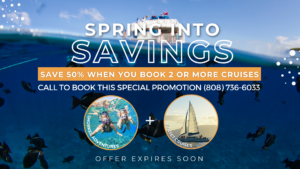 Cruise Bundles | PacWhale