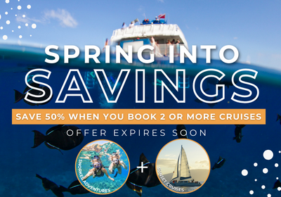 Cruise Bundles | PacWhale